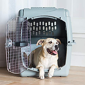Petmate Sky Kennel Pet Carrier, 36 Inch