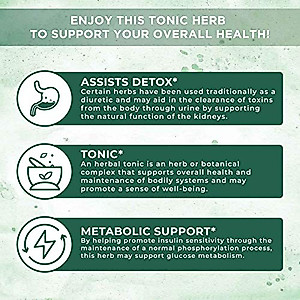 Stinging Nettle | USDA Stinging Nettle Leaf | Stinging Nettle for Glucose Metabolism Support | Detox Supplement | Herbal Blend for Detoxification | Vegan | Non-GMO | Gluten Free | 1 Fl Oz