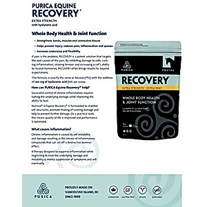 Recovery EQ with Hyaluronic Acid, 2.2 lbs (1 Kg)