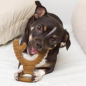 Power Bone Pet Chew Toy for Dogs - Durable, Non Toxic & Pet Safe - Best for Aggressive Chewers, Long Lasting Dental Health, Dog Teeth Cleaning, Dog Life Stages - Antler 5.5''