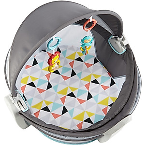 Fisher-Price Portable Bassinet and Travel-Play Area with Baby Toys, Indoor and Outdoor Use, On-the-Go Baby Dome, Windmill