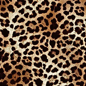 Texco Inc Printed Rayon Jersey Knit 4 Way Stretch/Leopard Pattern/Maternity, Apparel, DIY Fabric, Black Golden Brown 3 Yards