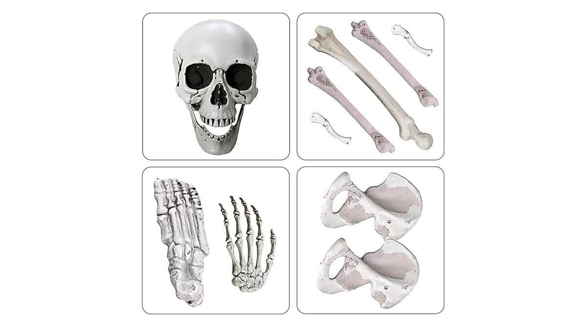 Halloween Skeleton Bones Set - Realistic Human Skulls & Bones for ...