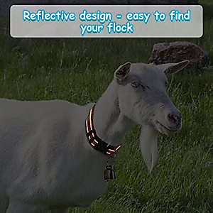 GINDOOR 5 Pack Reflective Goat Collars with Bells, Cow Horse Sheep Grazing Copper Bells and Adjustable Nylon Collar Set Pet Anti-Lost Loud Bronze Bell for Small Farm Animal Goat Sheep Cow Accessories