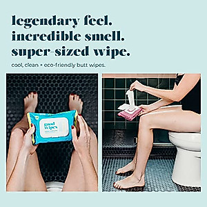 Goodwipes Flushable & Plant-Based Wipes with Botanicals | Dispenser for At-Home Use | Variety Pack with Aloe Septic and Sewer Safe | 240 count (4 packs) - Biggest Adult Wipes