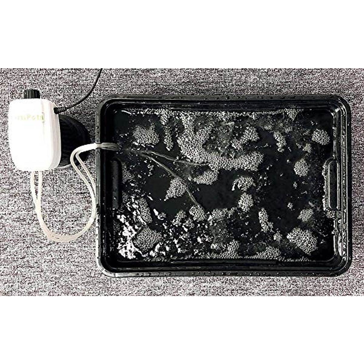 HORTIPOTS Aeroponic Clone Machine 24 site with Oxygen Add-up Air Diffusing Bubbler Kit and Extra 2 inch Neoprene Clone Collars Pack of 72