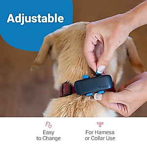 Tractive GPS Dog Tracker Rubber Attachment Clips (Pack of 3), Blue, 2.8 cm