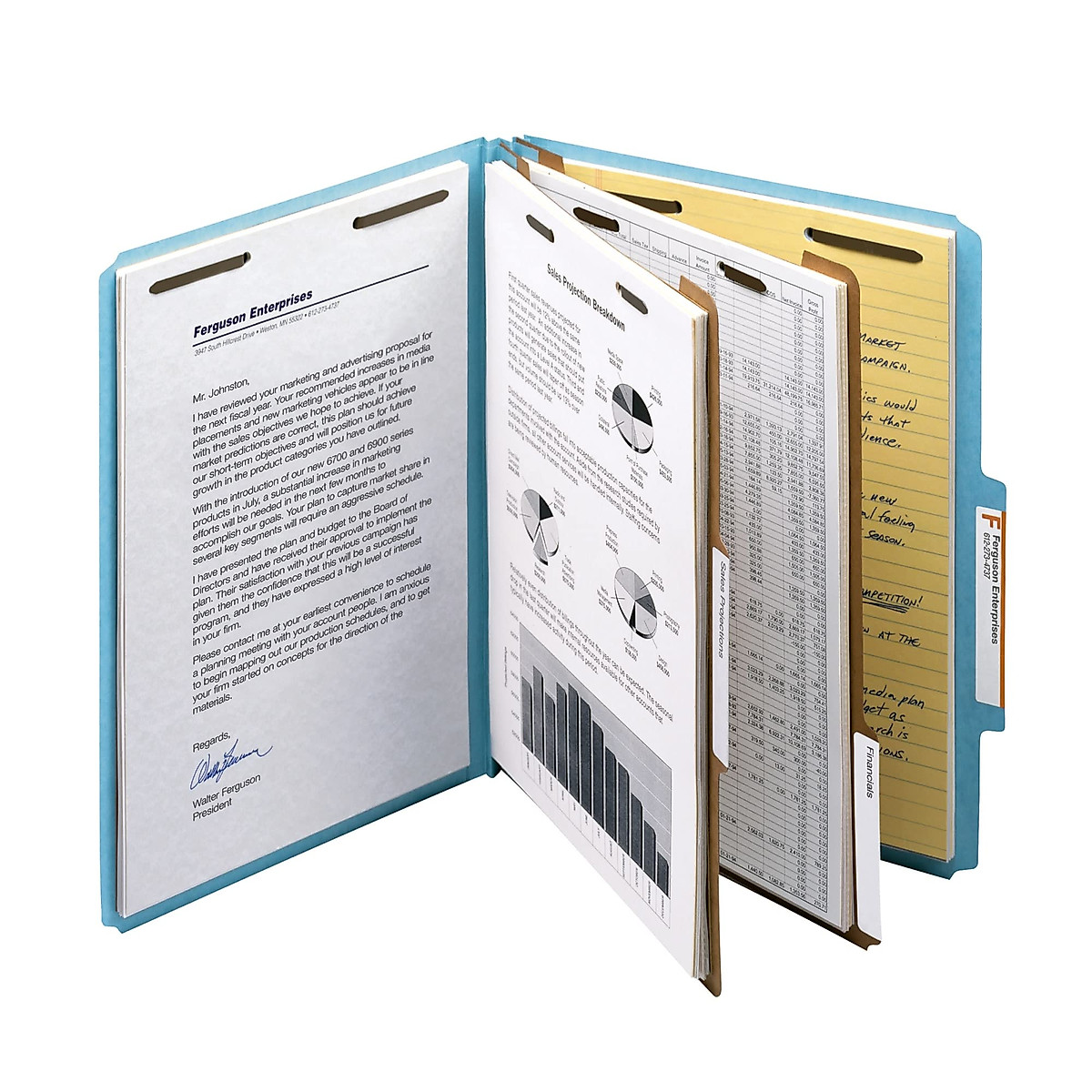 Smead 100% Recycled Pressboard Classification File Folder, 2 Dividers, 2" Expansion, Letter Size, Blue, 10 per Box (14021)