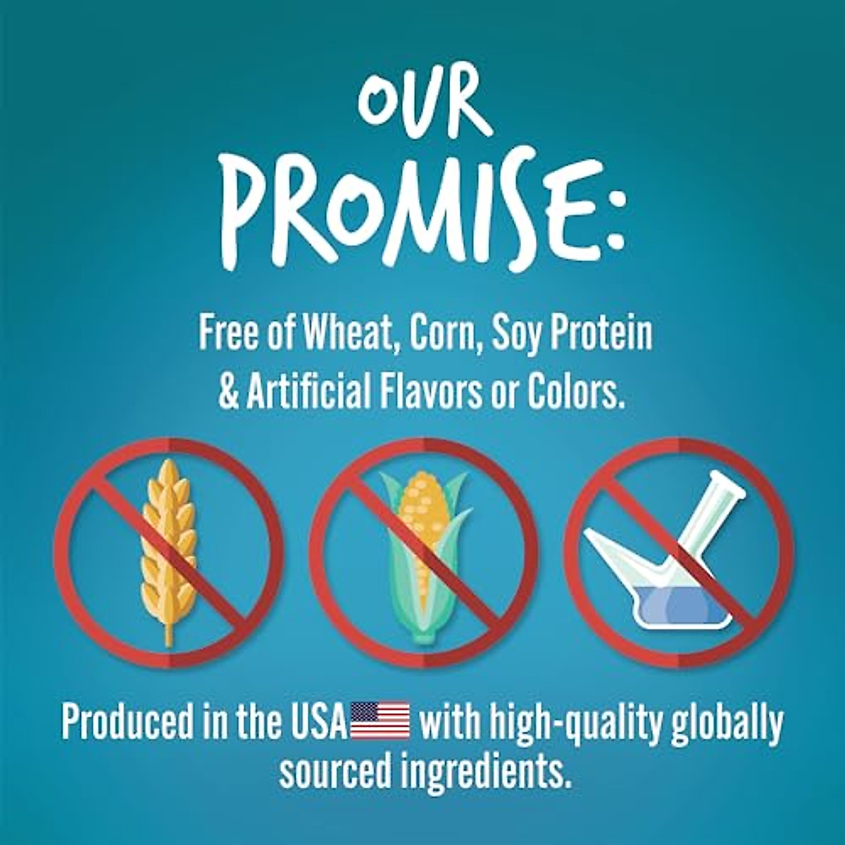 Fruitables Biggies Dog Biscuits – Crunchy Dog Biscuits Made with Pumpkin – Healthy Dog Treats Packed with Real Fruit Flavor – Free of Wheat, Corn and Soy – Almond Butter & Coconut – 16 oz