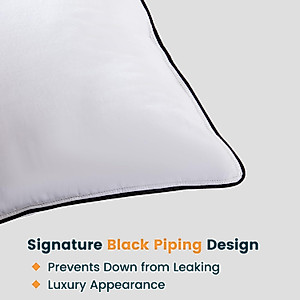 HYVIF Luxury Hungarian Goose Down Pillows - 750 Fill Power, 460 Thread Count Cotton Blend Shell - Soft Down Pillow for Sleeping - 1 Pack, Standard (20" x 26")