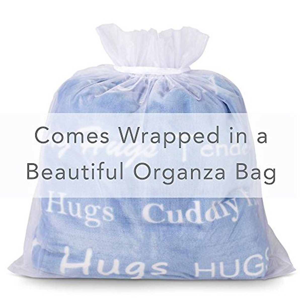 BlankieGram “Hugs” Plush Throw Blanket- Inspired Gift Ideas for The Entire Family, Comfort Gifts, Blue