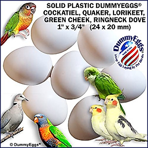 DummyEggs 7 Cockatiel Stop Egg Laying! Perfect for Quaker, Green Cheek 1 x 3/4" Plastic Non-Toxic Solid Fake Bird Eggs Realistic Work Safely, Naturally, Quickly. 20 x 24mm USA Brand