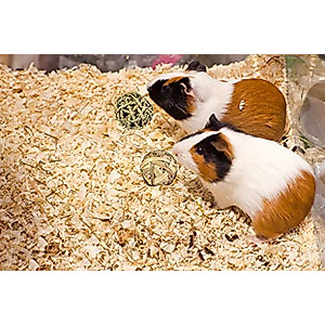 QHZHANG Hamster Chew Toys，24PCS Combined Chew Toys Molar Sticks Sweet Bamboo Apple Branch Molar Toy for Rabbits Pets Chinchilla Squirrel Gerbil Hamster Squirrel Guinea