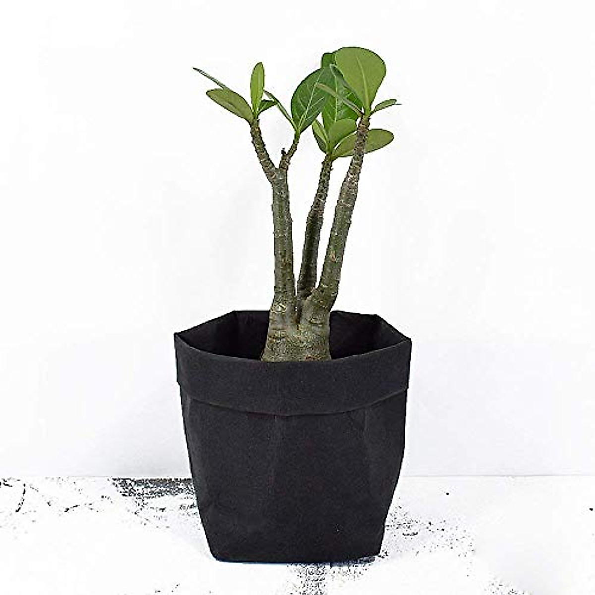 4Pack-4''x4''x7.8'' Mini Succulents Kraft Paper Flower Pot Cover Decoration Folding Washable Kraft Paper Storage Bag Container for Fruit Food Succulent Planting Household Wrap Pet (M)