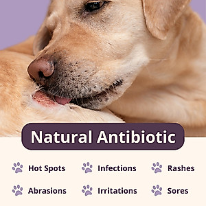 Glacier Peak Holistics Colloidal Silver - Natural Antibiotic Spray for Dogs & Cats, Internal & External for Anti-Itch and Infection in Pets - 2oz