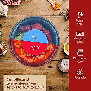 Reli. Meal Prep Container Bowls, 16 oz (25 Pack) Meal Prep Containers Reusable | Plastic Take Out Food Containers, Microwavable Bowls | Disposable Bowls with Lids for Takeout, To Go, Leftover