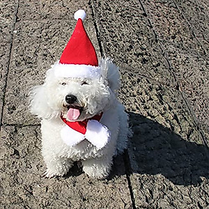 Orgrimmar Cat Santa Hat with Scarf Pet Christmas Costume Set Pet Christmas Outfit Xmas Clothes for Small Cats&Dogs