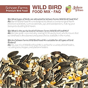 Gourmet Wild Bird Food Mix (6 LBS) Blend For Cardinals, Chickadees, Nuthatches, Woodpeckers and Songbirds
