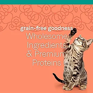 Canidae Adore Premium Wet Cat Food, Morsels with Salmon and Whitefish in Broth, 2.46 Ounce (Pack of 24), Grain Free