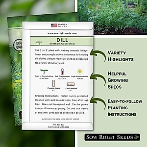 Sow Right Seeds - Dill Seed for Planting - All Non-GMO Heirloom Dill Seeds with Full Instructions for Easy Planting and Growing Your Kitchen Herb Garden, Indoor or Outdoor; Great Gift
