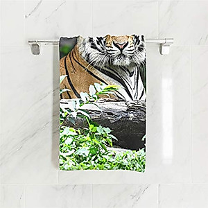 Auskid Bengal Tiger Hand Towel Ultra Soft Bathroom Towel for Face Gym Spa