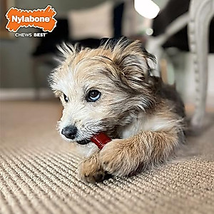 Nylabone Basted Blast Original & Textured Bone Power Chew Toy for Dogs, Dog Toys for Aggressive Chewers, Bacon and Steak Flavor, X-Small - Up to 15 lbs, 2 Pack