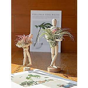 4 Pcs Wooden Jointed Mannequin Air Plant Holder - Tabletop Air Plant Stand in 2 Sizes, Tillandsia Air Plant Display Container with Adjustable Poses for DIY Home Office Decoration Housewarming Gifts