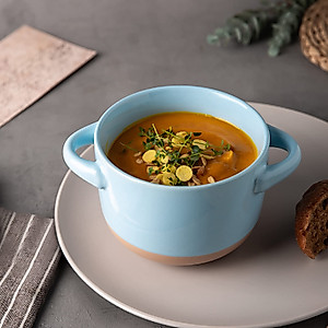 AmorArc 24 Ounces Soup Bowls with Large Handles and Lids, Stoneware Bowls Set of 4 for Soup, Cereal, Stew, Noodle, Colourful Ceramic Kitchen Bowls, Microwave&Dishwasher Safe, Multicolor