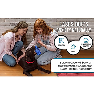 PetMedics Soothing & Wellness Durable Dog Chew Aid for Medium to Large Dogs - Moderate to Tough Chewers - Dog Toothbrush, Teething with Fun & Calming Sounds