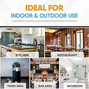 Gardner FlyWeb Fruit Fly Spray | All-Natural Spray for Flies, Bugs, Fleas, Ticks and Wasps - Does Not Leave a Residue, is Stain Free, Family and Pet Friendly (22oz)