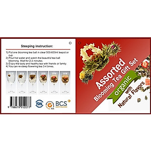 ECO NAVA Tea Gift Double Walled Glass Cup 350 ml / 12 oz with 2 Flowering Green Tea Balls Blooming. Great clear double wall insulated mug for serving coffee, tea, hot chocolate, latte, espresso.