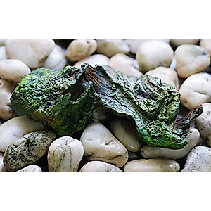 1shopforyou Random Selection Reptile Amphibian Habitat Decorative Garden Stakes 5X10 CM