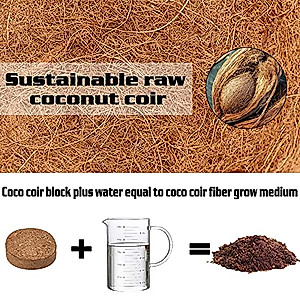 ZeeDix 50pcs(30mm) Compressed Coco Coir Fiber Potting Soil- Coir Medium, Coconut Soil for Indoors or Outdoors, Bonsai, Herbs, Plants, Flowers and Vegetables