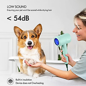 FAVIRZCE Hair Dryer, Portable Ionic Blow Dryer with Diffuser and Concentrator Nozzle, Fast Drying without Hair Damage, Low Noise, Lightweight Travel Hair Dryer, 3 Temps, Mint Green