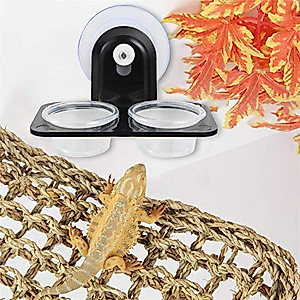 SLSON Gecko Feeder Ledge with 120 Pack 1 oz Plastic Bowls for Reptiles Food and Water Feeding