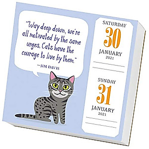 A Year of Cat Trivia Page-A-Day Calendar 2021