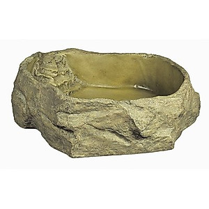 Exo Terra Water Dish [Set of 2] Size: Small (1.2" H x 3.1" W x 3.5" D)