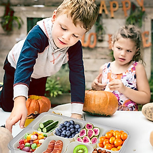 Snackle Box Container, Divided Serving Tray with Lid and Handle, Snack Box Charcuterie Container for Portable Snack Platters, Clear Organizer for Fruits Snacks, Perfect for Road Travel Picnic Party