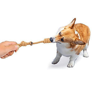 FOXHOLE 6 Pack Dog Rope Toys Dental Cleaning Dog Chew Toys for Medium Dogs (Combo B)