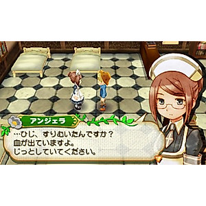 牧場物語 つながる新天地