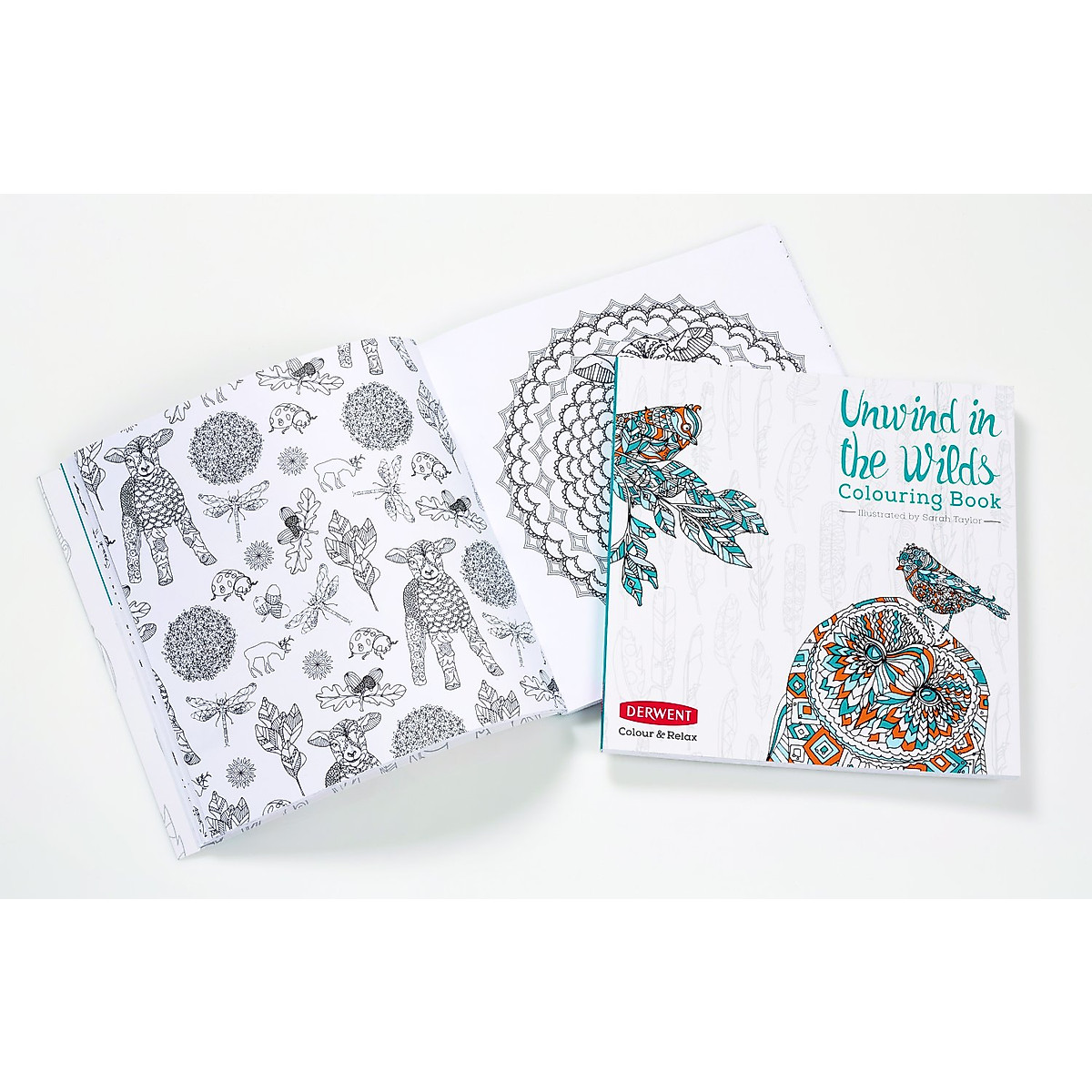 Adult Coloring Book and Coloursoft Colored Pencils: Color and Relax - Unwind in the Wilds by Derwent (2302339)