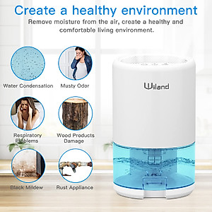 Portable Dehumidifier
