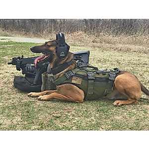 Walker's Razor Slim Electronic Shooting Hearing Protection Muff (Sound Amplification and Suppression) with Protective Case, Black Patriot Bundle