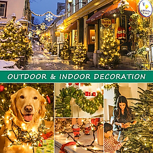 HEYFUNi Clear Christmas Lights 50Count 13Feet White Christmas Tree Lights Set, Incandescent Bulb Mini String Lights for Indoor Outdoor Tree Party Weeding Home Xmas Holiday Decorations,Green Wire