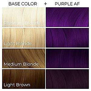 ARCTIC FOX Vegan and Cruelty-Free Semi-Permanent Hair Color Dye (8 Fl Oz, PURPLE AF)