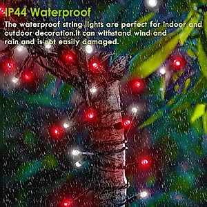 82FT 200 LED Red White Christmas Lights Outdoor/Indoor, Timer & Memory Function & 8 Modes, Extendable Green Wire, Waterproof String Lights for Xmas Tree Holiday Party Garden Yard Decor (Red & White)