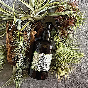 Cute Farms Tillandsia Air Plant Fertilizer | Gentle Weekly Use Formula Plant Food with Care Guide | Formulated Nutrients for Air Plants (8 oz. Spray Bottle)