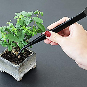 Wazakura Bonsai Curved Tip Tweezer with Spatula MADE IN JAPAN 8.6in(220mm) Stainless Steel Black Coated - Black