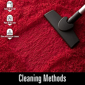 DETUM Soft Fluffy Area Rugs, 2.6 x 5.3 Feet Red Plush Rug for Girls Boys Bedroom Oval Throw Rug for Nursery Reading Room, Shaggy Cute Rugs for Kids Room Bedside School Dorm Home Décor