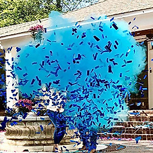 Gender Reveal Powder Cannon - Set of 4 - HICONFETTI Premium Gender Reveal Confetti Cannon Popper Pink/Blue, Biodegradable Confetti Poppers Sticks for Baby Boy or Girl Gender Reveal Party Supplies